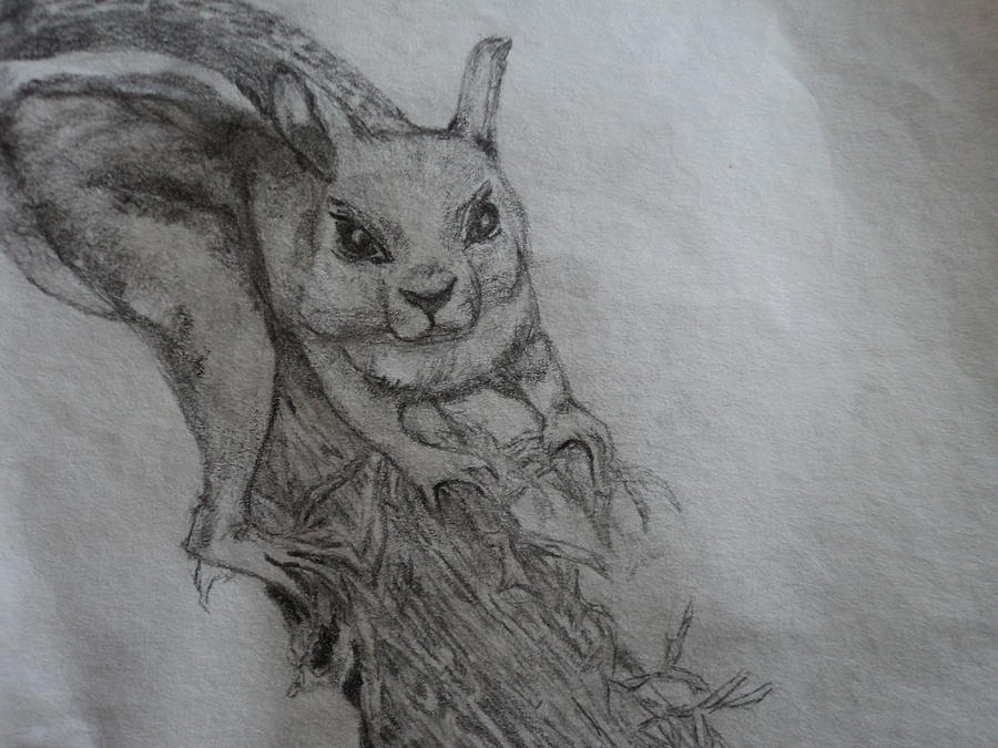 Chipper Drawing by Lynn Welker - Fine Art America