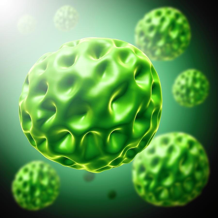 Chlamydia Bacteria Photograph by Pixologicstudio/science Photo Library ...