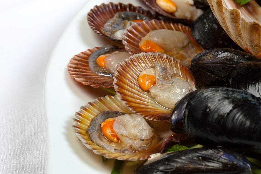 Clamshell Photograph by Miranda Legovic - Pixels