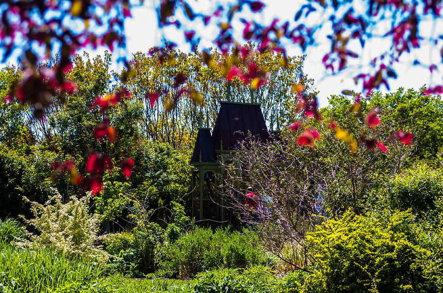 Classy Aviary Structure In Botanical Garden Photograph by Alex ...