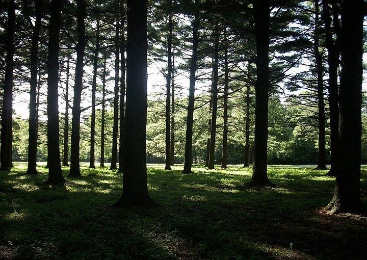 Clear Path Photograph by Sierra Walker - Fine Art America