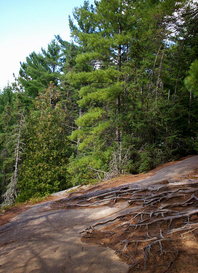 Cliff Top - Two Rivers Trail Photograph by Richard Andrews - Fine Art ...