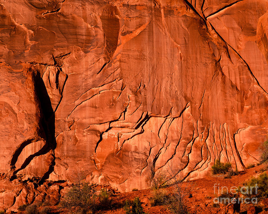 Cliffside Cracking Photograph by Tracy Knauer - Fine Art America