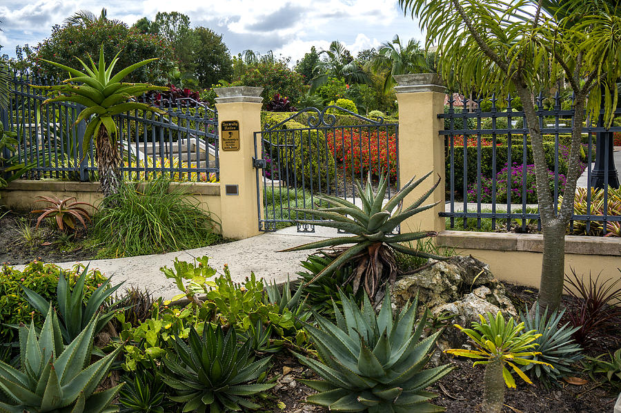 Closed Garden Photograph by Francesco Roncone - Pixels