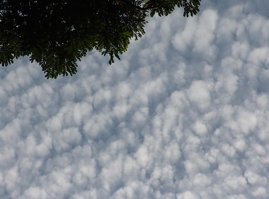 Cloud Patterns Photograph by Jerilyn Chevalier - Fine Art America