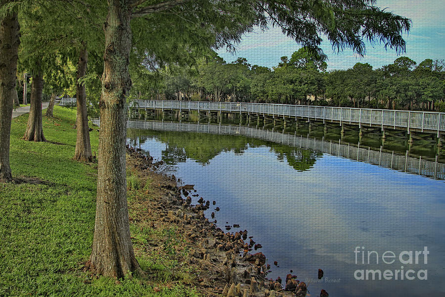Cloud reflection At The Pond Photograph by Deborah Benoit - Pixels