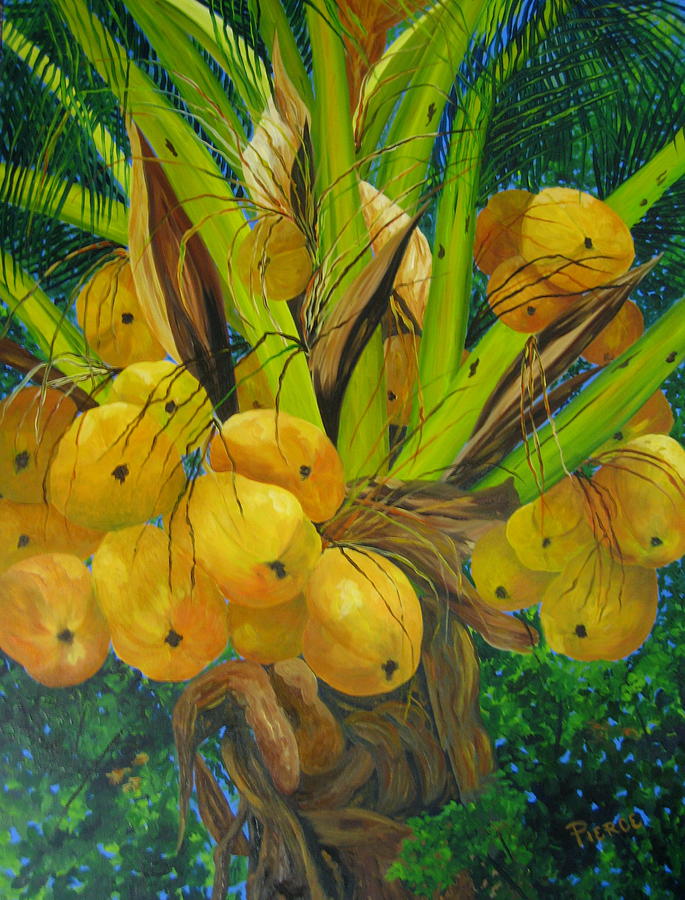Coconuts Painting by Sandra Pierce - Pixels