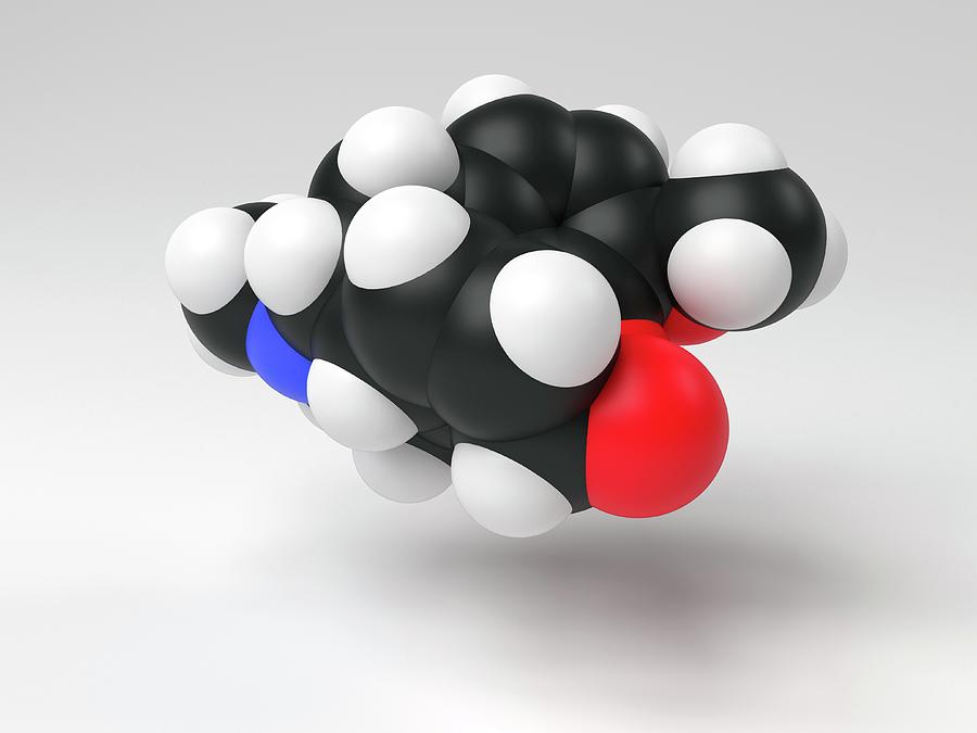Codeine Molecule Photograph by Indigo Molecular Images/science Photo ...