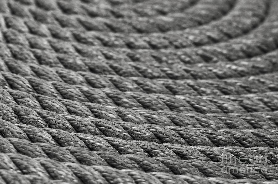 Coiled Photograph by Chris Fleming - Fine Art America
