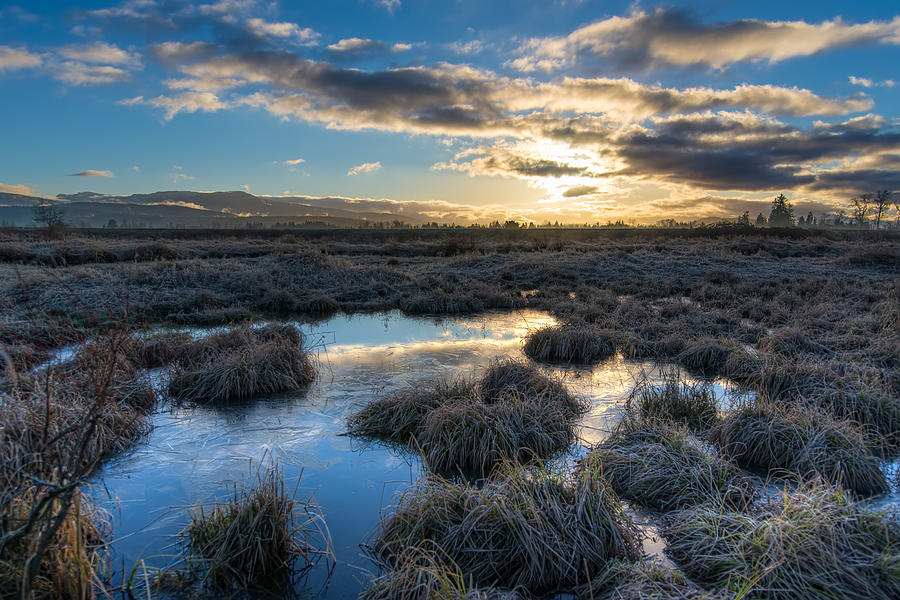 Cold Morning Photograph by James Wheeler - Fine Art America