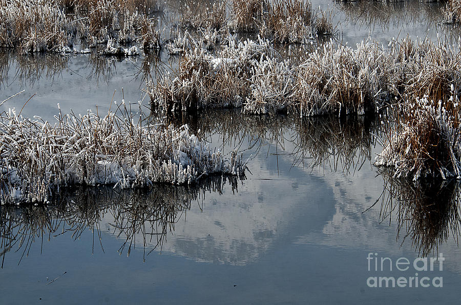 Cold Reflection Photograph by Earl Nelson - Fine Art America
