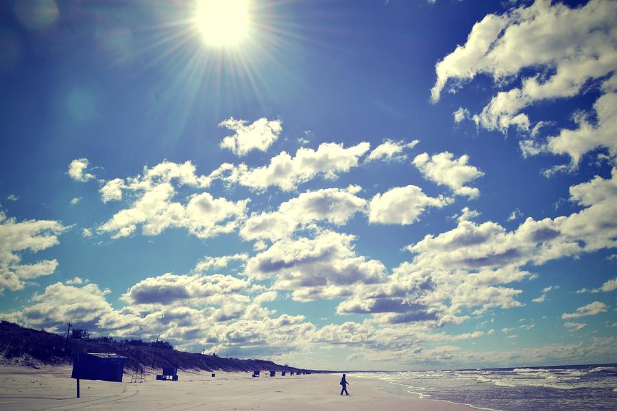 Cold sun Photograph by Olena Zigulia - Fine Art America