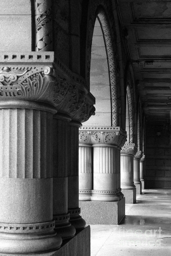 Colonnade Photograph by Andra Miliacca - Fine Art America