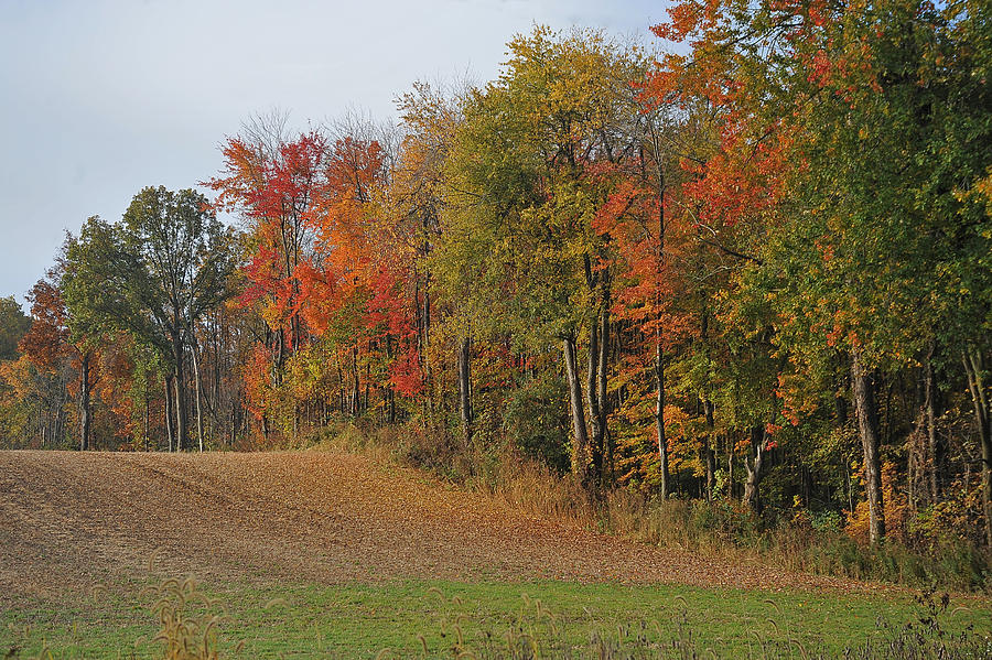 Colored Fields Photograph by Joe Oliver - Fine Art America