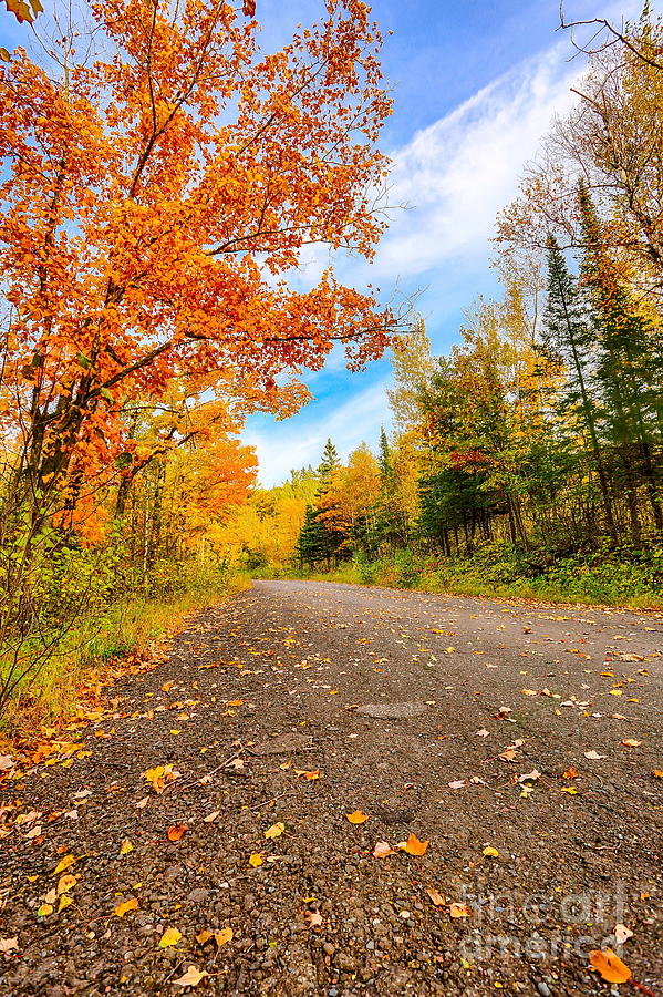 Colored Road Photograph by Bryan Benson - Pixels