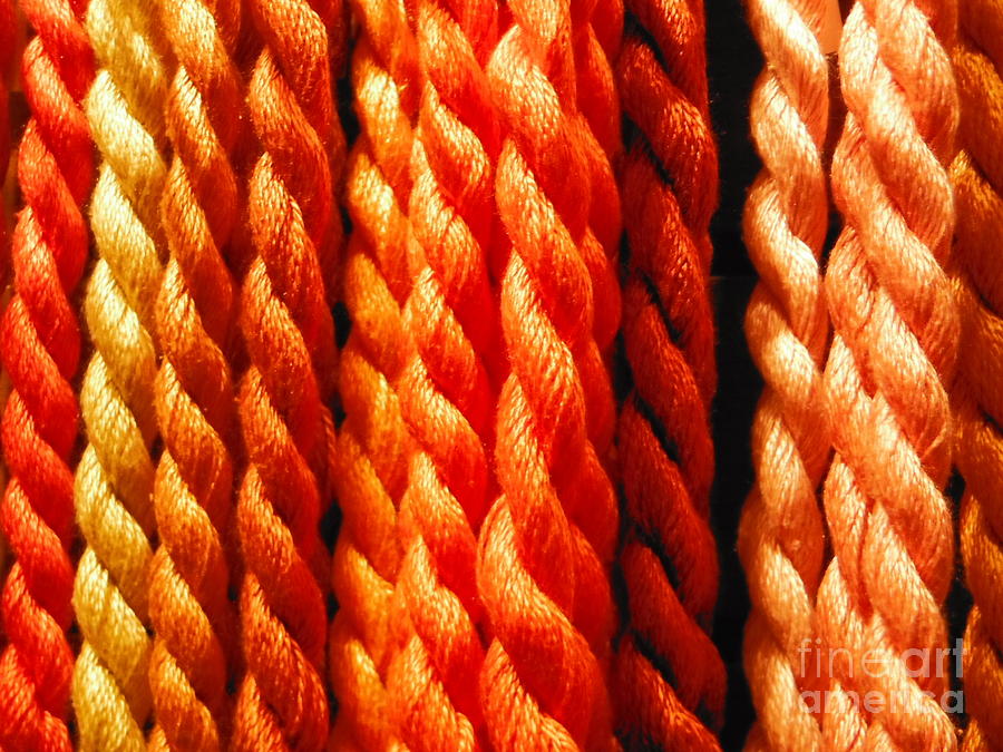 Colored Threads With Orange Photograph by Paddy Shaffer - Fine Art America