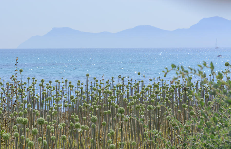 Colors of Majorca Photograph by Ingela Christina Rahm | Fine Art America