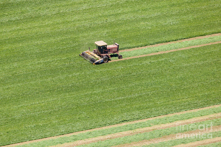 Combine Cutter Photograph by John Ferrante - Fine Art America