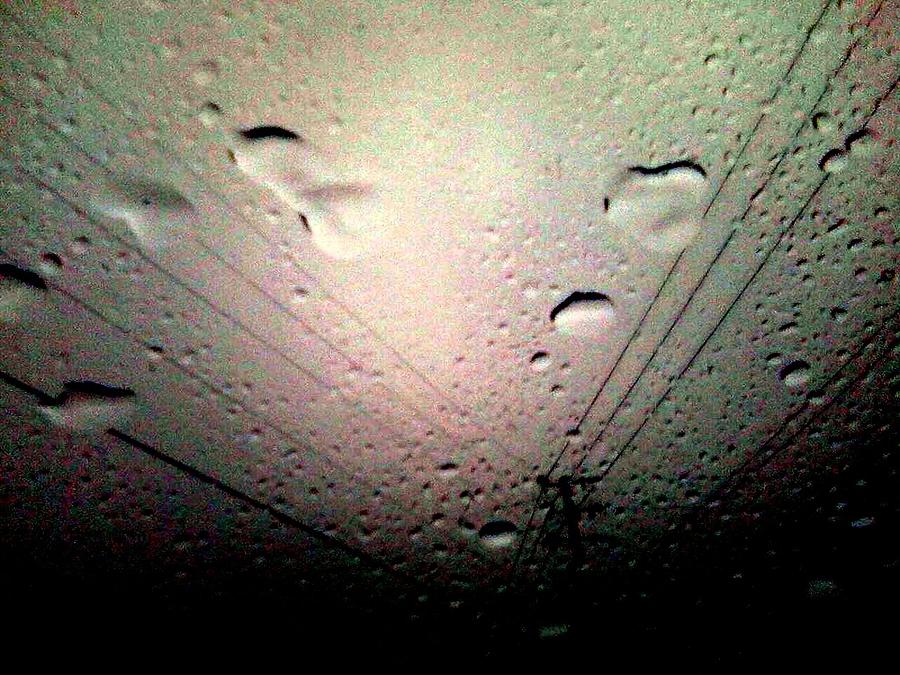 Coming Light Photograph by Michael Custer - Fine Art America