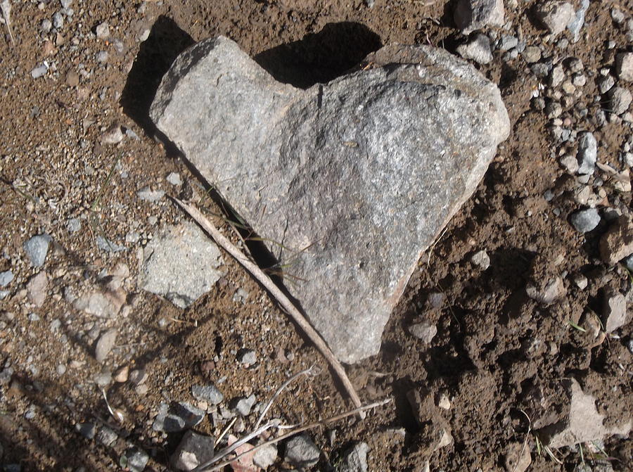 Commitment Photograph by Psyche - Fine Art America