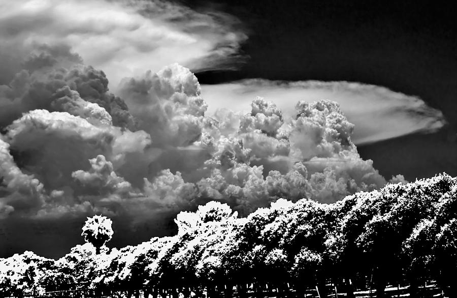 Comparison Digital Art by Steve Ferguson - Pixels