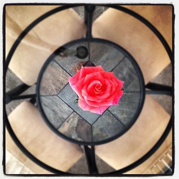 Compassrose Photograph by S Teske - Fine Art America