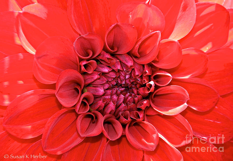Complete Photograph by Susan Herber - Fine Art America