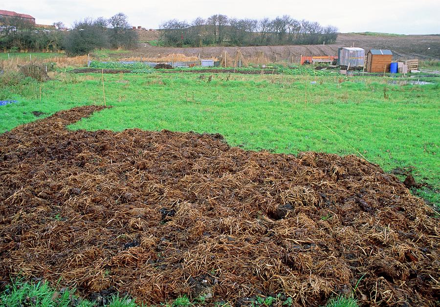 Compost On Ground Photograph by Mike Danson/science Photo Library ...