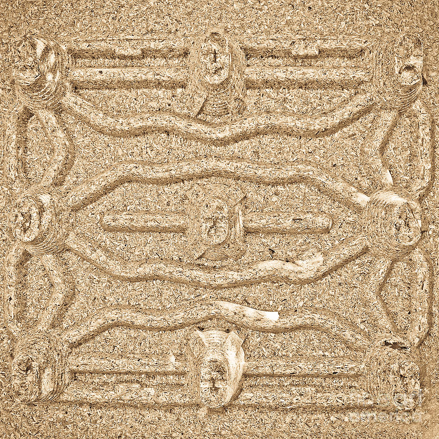 Compressed Texture Photograph by Fei A - Fine Art America