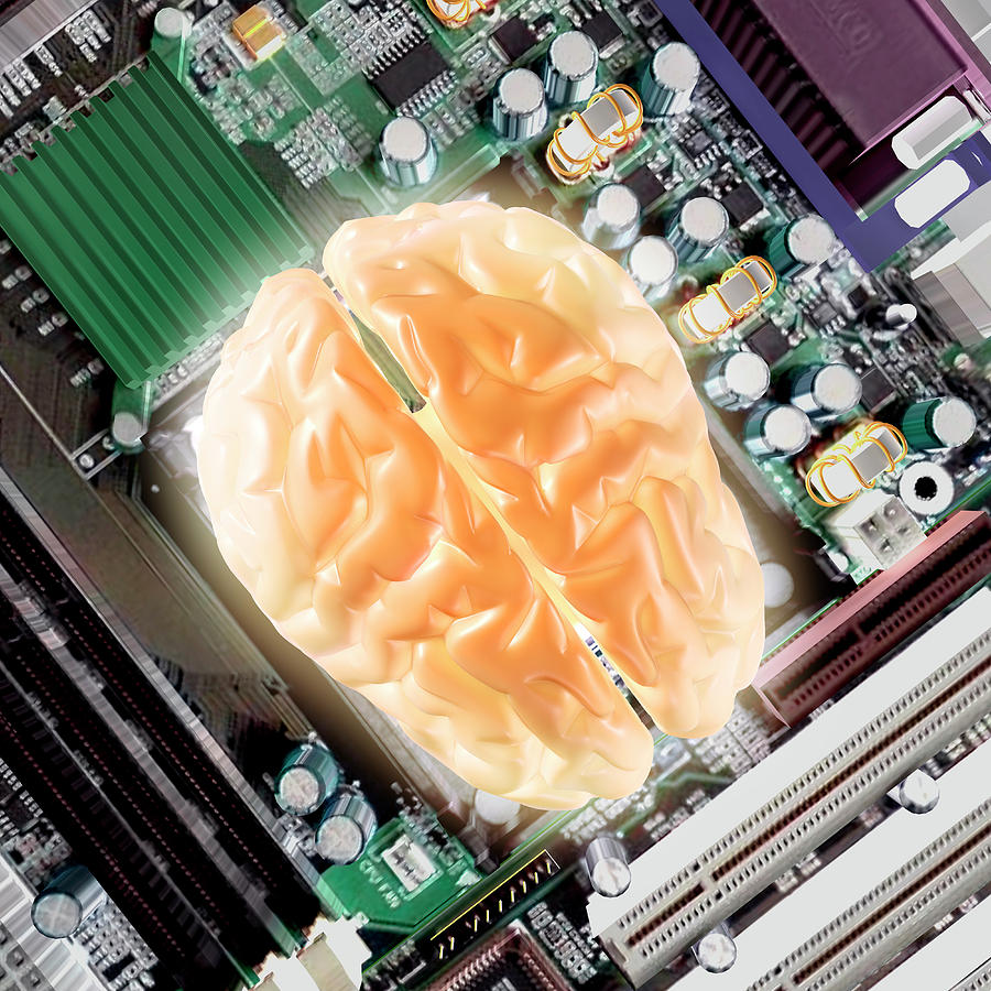 Computer Brain Photograph by Science Photo Library - Pixels Merch