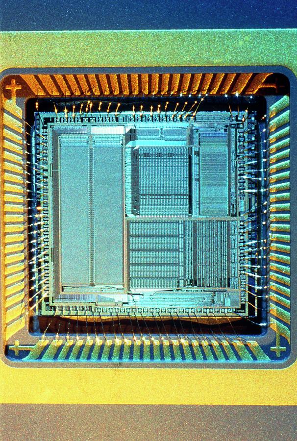 Computer Chip Photograph by Adam Hart-davis/science Photo Library