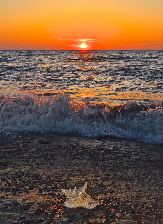 Conch Shell Sunset Photograph by Frozen in Time Fine Art Photography ...