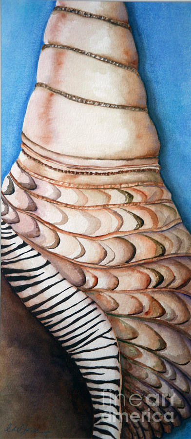 Cone Shell Painting by Lori Delfosse - Fine Art America