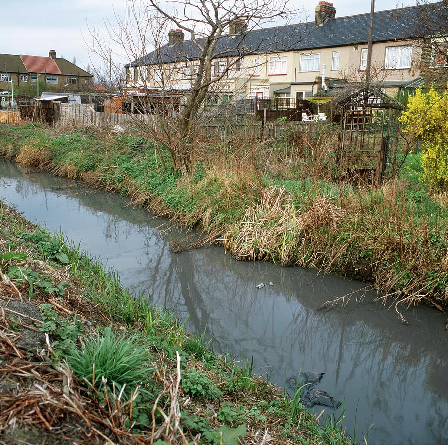 Contaminated Stream Photograph by Robert Brook/science Photo Library ...