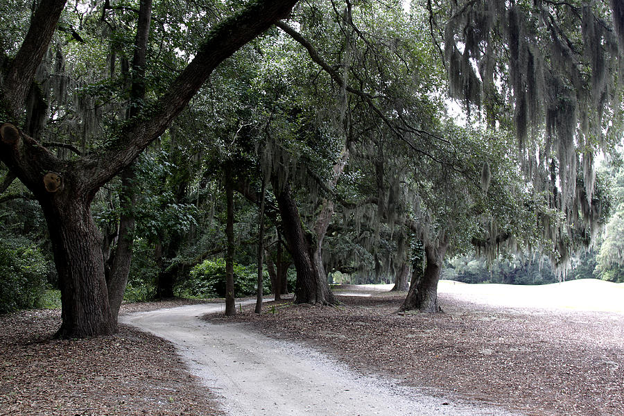 Continue On The Path Photograph by Jean Macaluso - Fine Art America