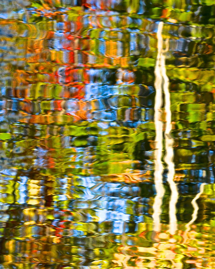 Contorted Clarity Photograph by Frozen in Time Fine Art Photography ...