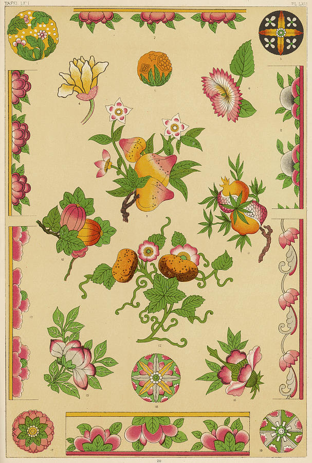 Conventional Renderings Of Flowers Drawing By Mary Evans Picture