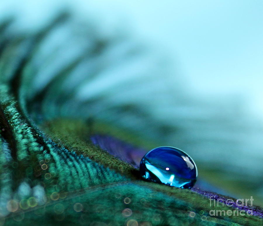 Cool Blue Photograph By Krissy Katsimbras Fine Art America