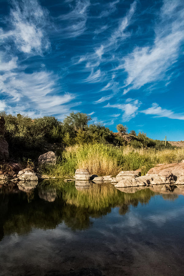 Cool Breeze Photograph by Ronald Hunt - Fine Art America
