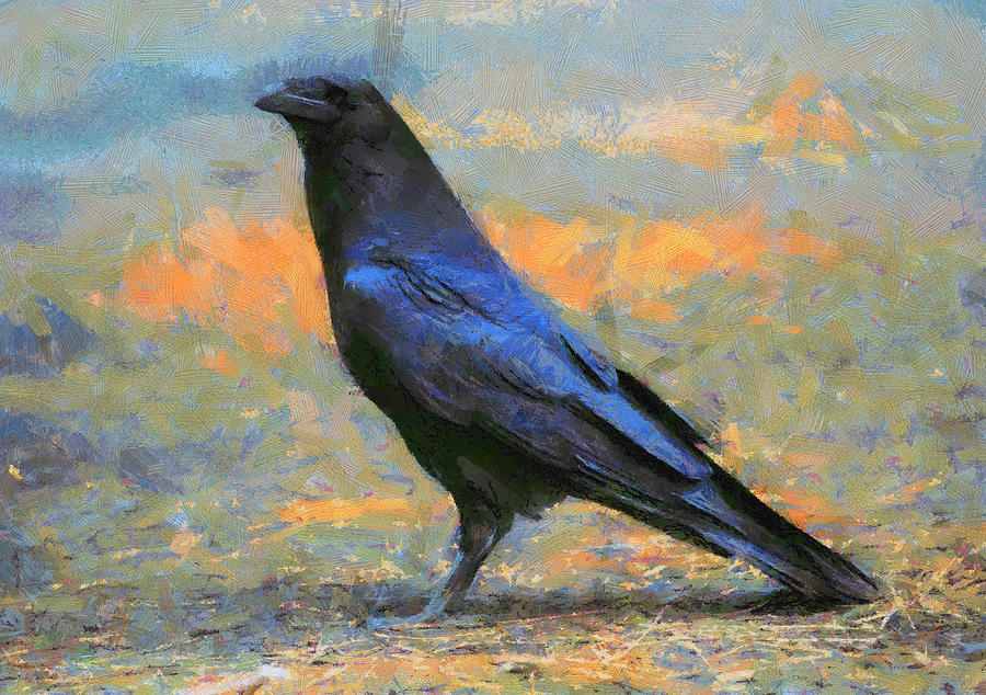 Corax corvus raven Digital Art by Mai Shisa - Fine Art America