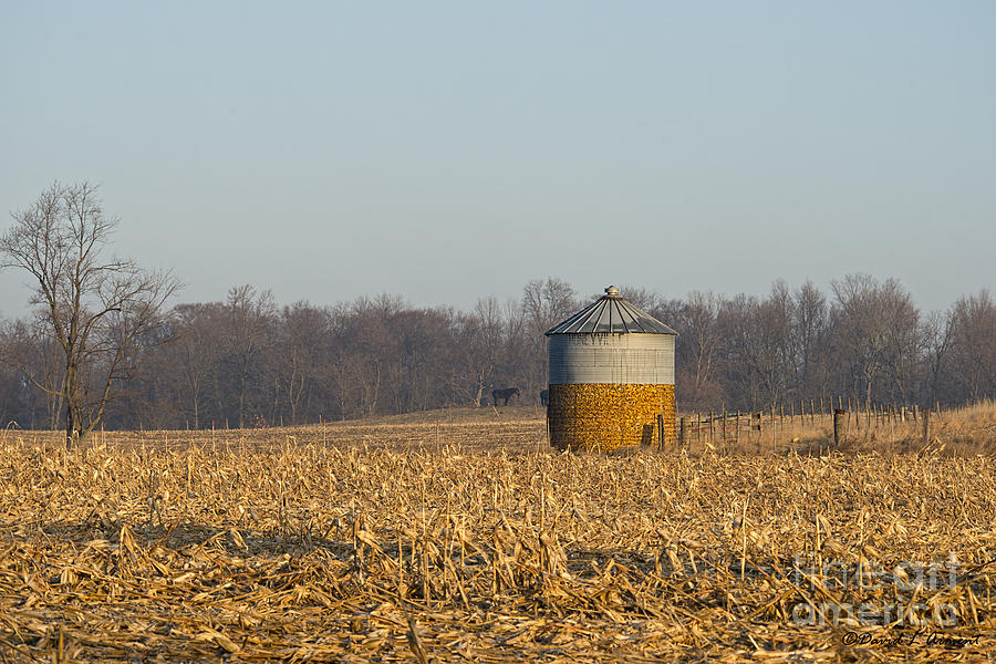 Corn Bin Photograph by David Arment - Fine Art America