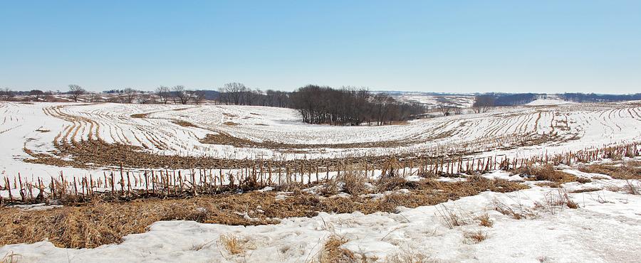 Winter Cornfields Photograph by Ian Kennard - Fine Art America