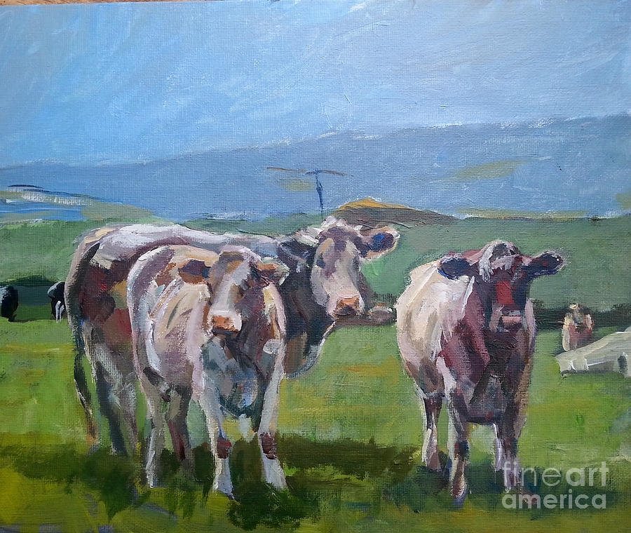 Cornish Cows Painting by Max Hale - Fine Art America