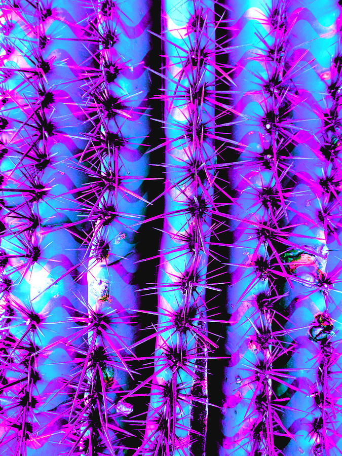 Cosmic Cactus 2 Mixed Media by MB Dallocchio - Fine Art America