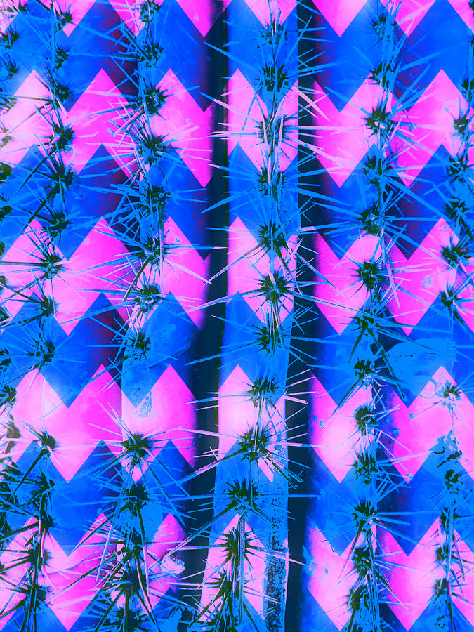 Cosmic Cactus 7 Mixed Media by MB Dallocchio - Fine Art America