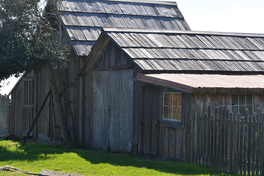 Coastal Barn Photograph by Beth Sanders - Fine Art America