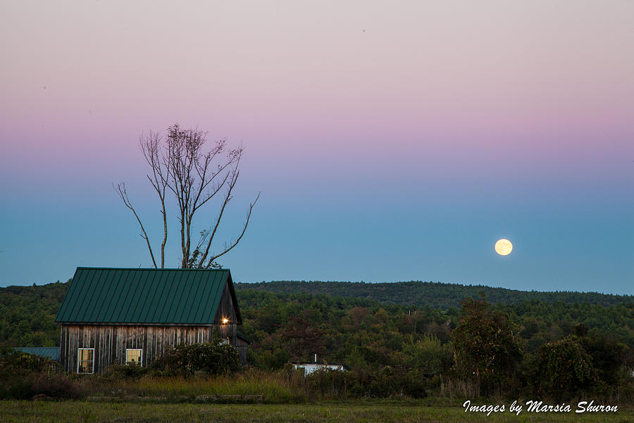Country Moon Photograph by Marsia Harris - Fine Art America