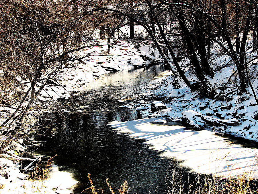 Country Stream Pyrography by Ronnie Reid - Fine Art America