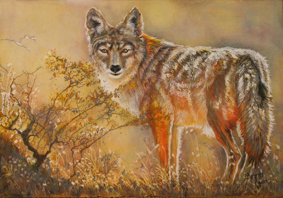 Coyote Painting by Beth Gramith - Fine Art America