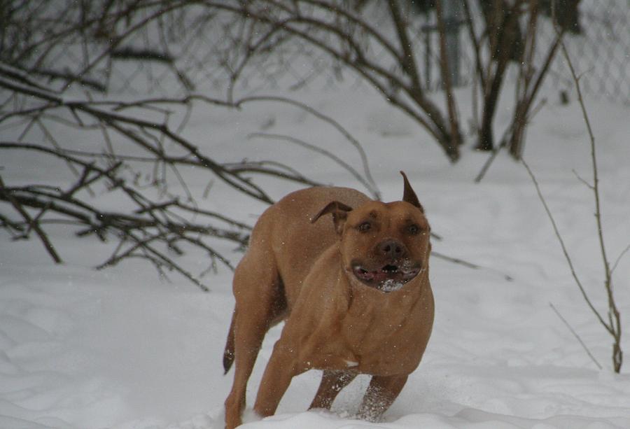 Crash Photograph by Eric Noa - Pixels